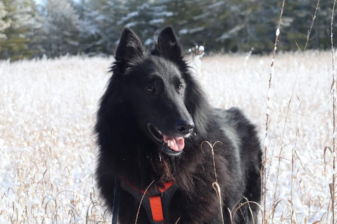 Choosing faith over fear – Therapeutic Temple Musings